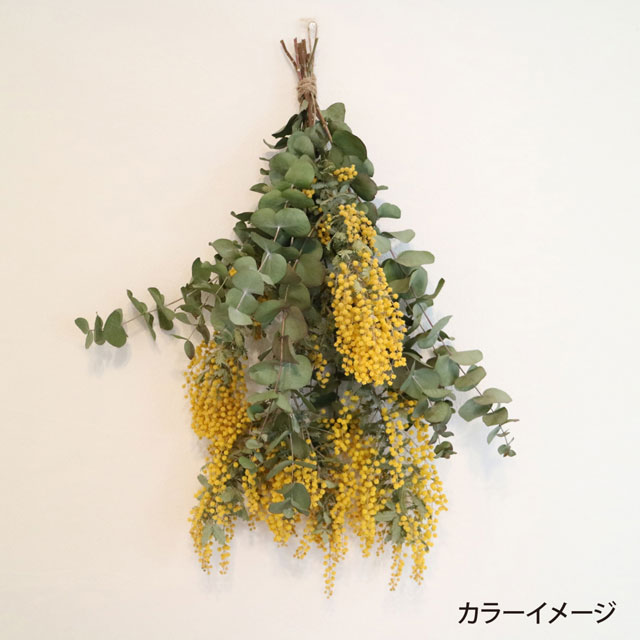 オリムパス GARDEN PARTY 刺しゅう糸 25色セット/スプール付(GP オリムパス GARDEN PARTY 刺しゅう糸 25色セット/スプール付(GP